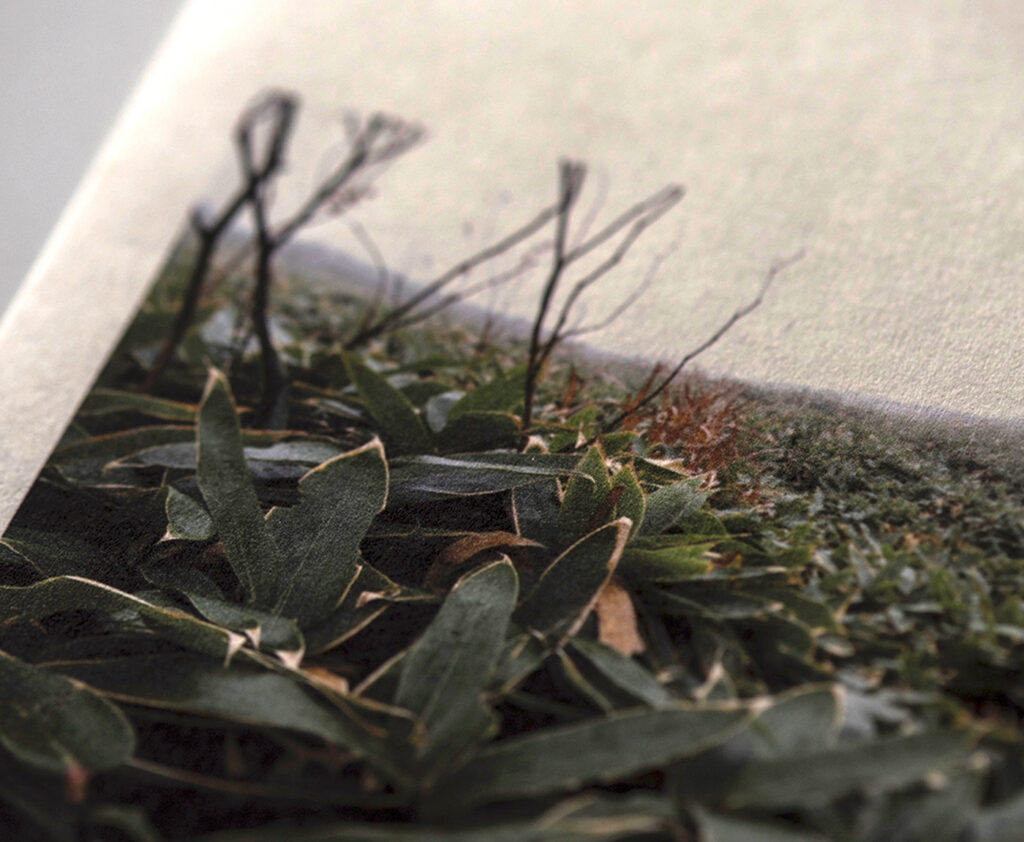 Mitsumata White Double Layered - Rauch Papiere